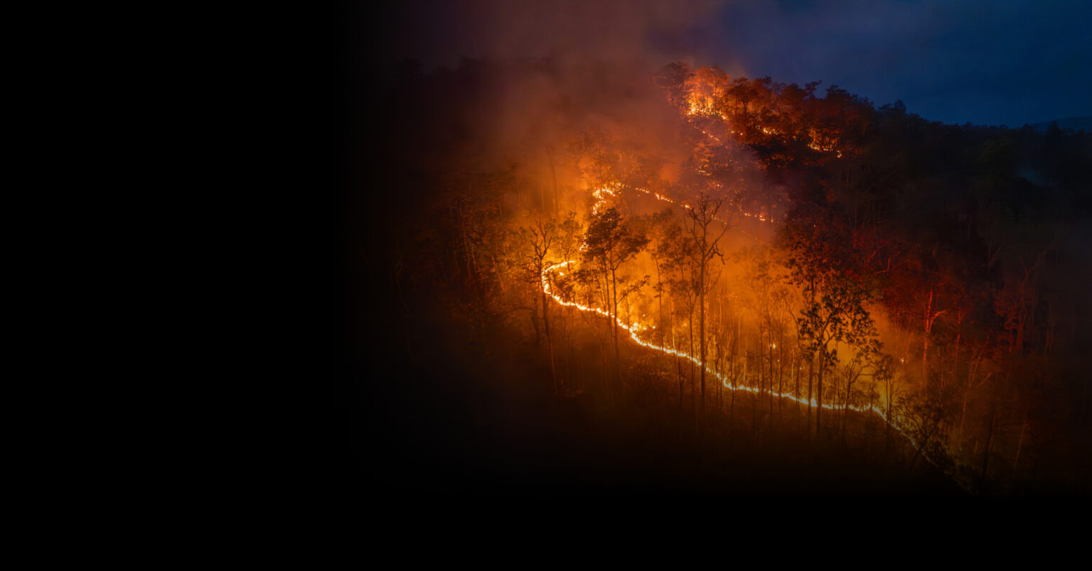 1.1 Reinsurance Renewals 2025: Market Outlook & Insights